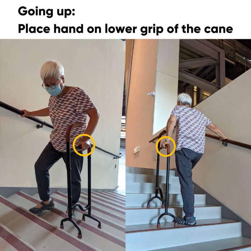 Stair Assist Cane for Elderly | The Golden Concepts